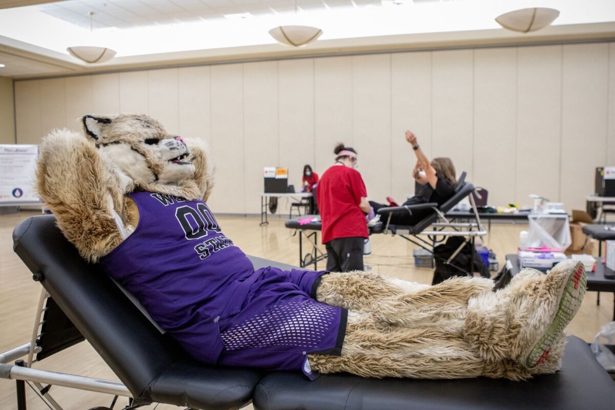 Weber State out for blood this week with collection ‘battle’ | News ...